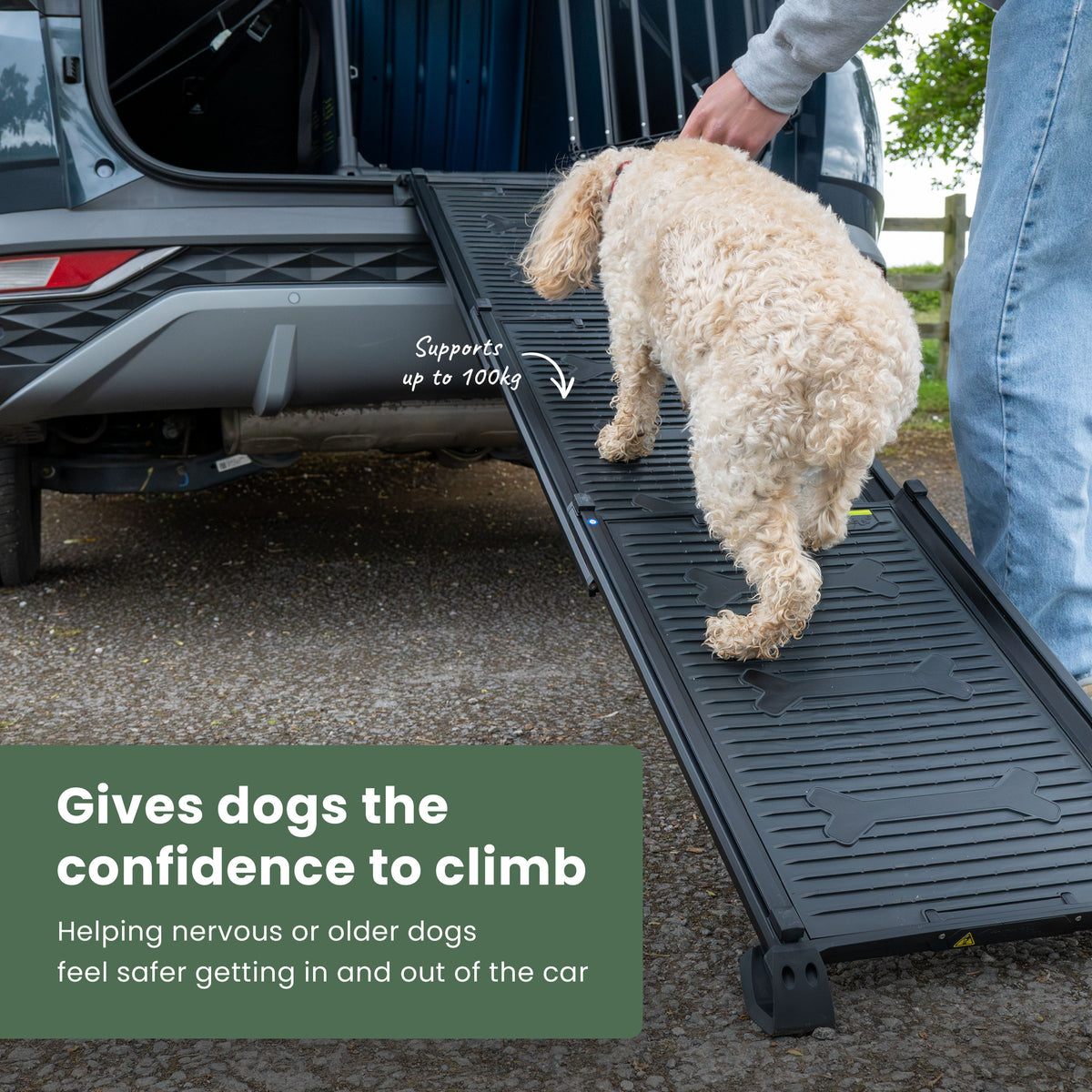Dog Ramp